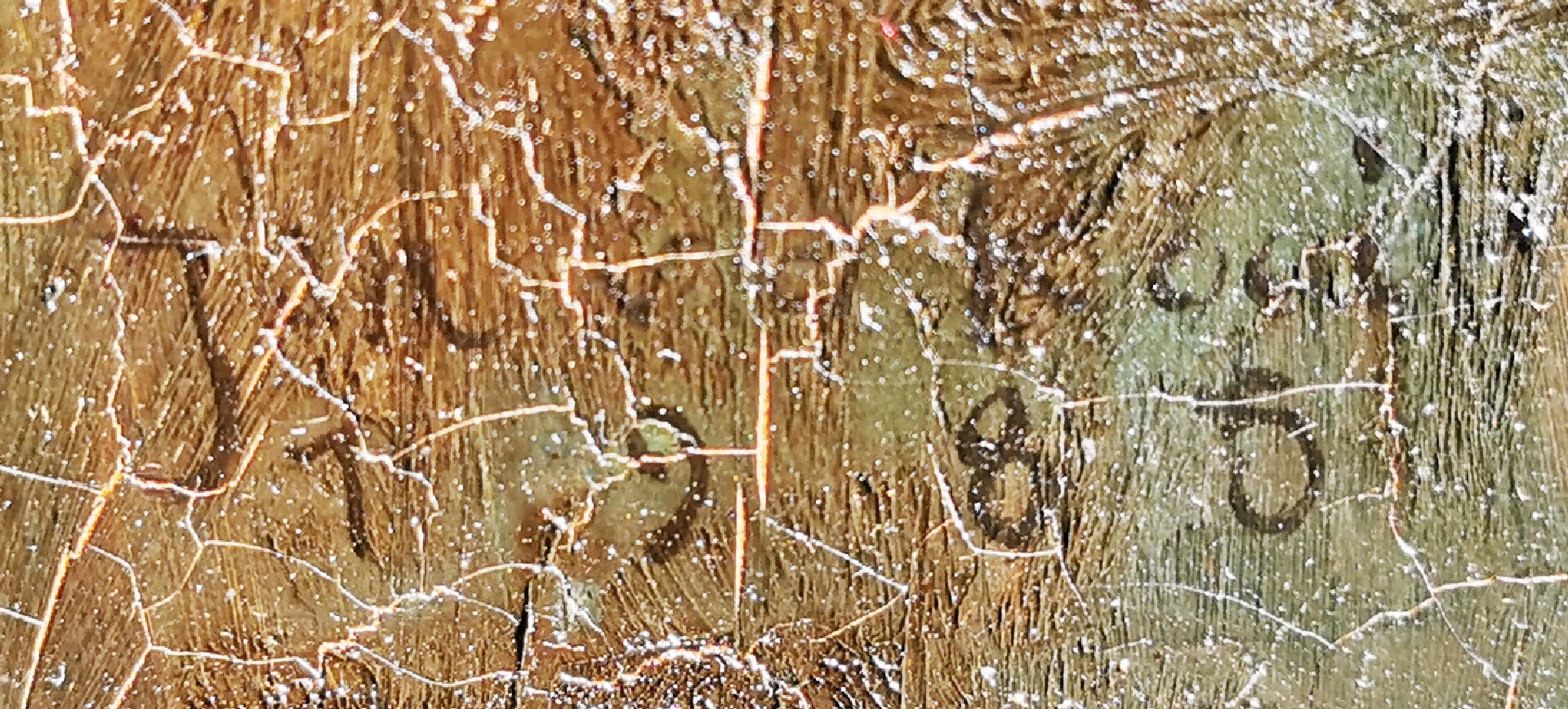 Jan van der Kooi | Paintings for Sale | Pears